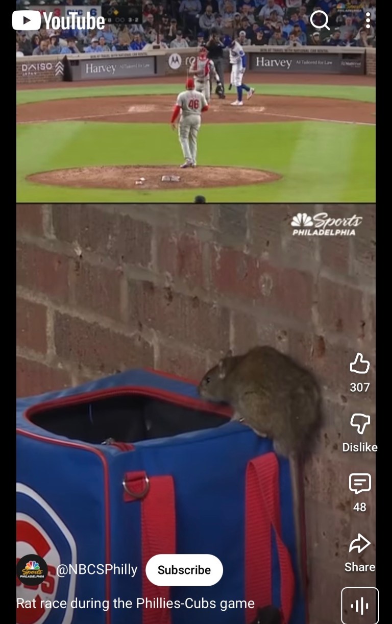 Cubs game… Rat steals the show – Philly game! | Brilliant Viewpoint